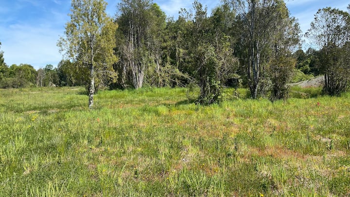 Parcela En Condominio, Frutillar - Frutillar