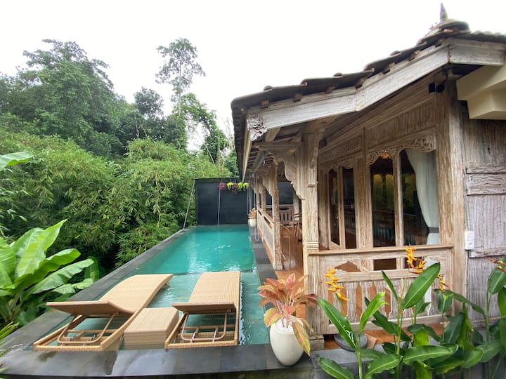 Private Pool  Wooden Jungle View - Abimartha Villa - Indonesia