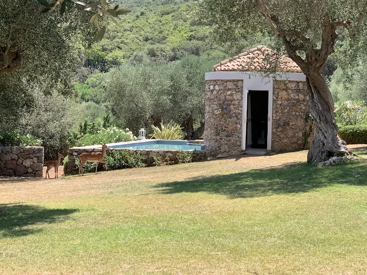 Villa Le Oche - Orbetello
