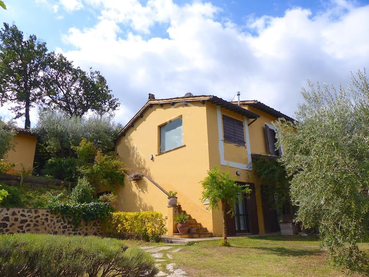 Montefalco Olive Farm "Ponente" - Montefalco