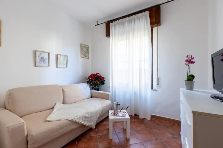 Lovely Apartment Near Pisa Airport - 比薩