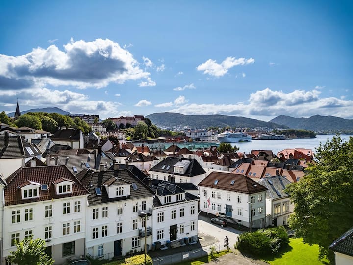 Big, Bright & Beautiful - With 6 Large Bedrooms - Bergen