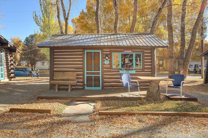 Wildwood Cabin, Great In Town Location - Buena Vista