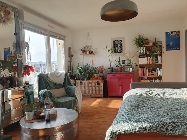 Studio Avec Grande Terrasse - Estrasburgo