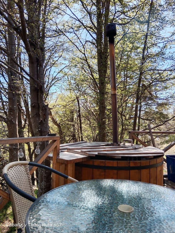Cabaña Minimalista Con Tinaja. - Aysén