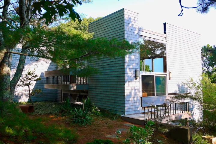 Light-filled Cape Modern House - Truro