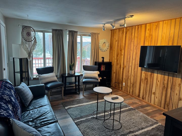 Two Bedroom And Outdoor Hot Tub. - Silverthorne, CO