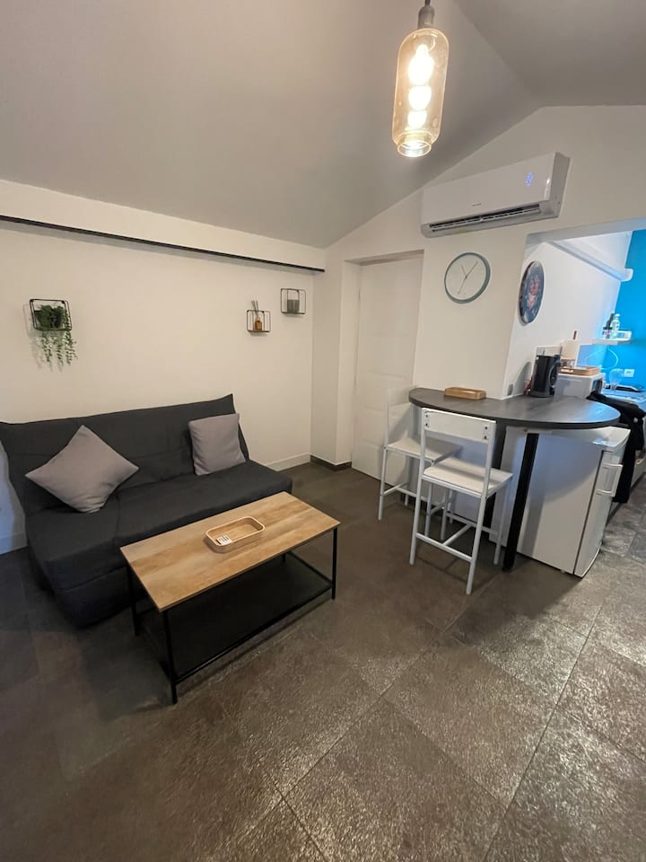 " Les Glycines" Appartement Avec Rez-de-jardin - Chassieu