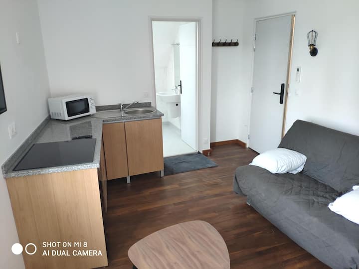 Cnpe Belleville S4 - Cosne-Cours-sur-Loire