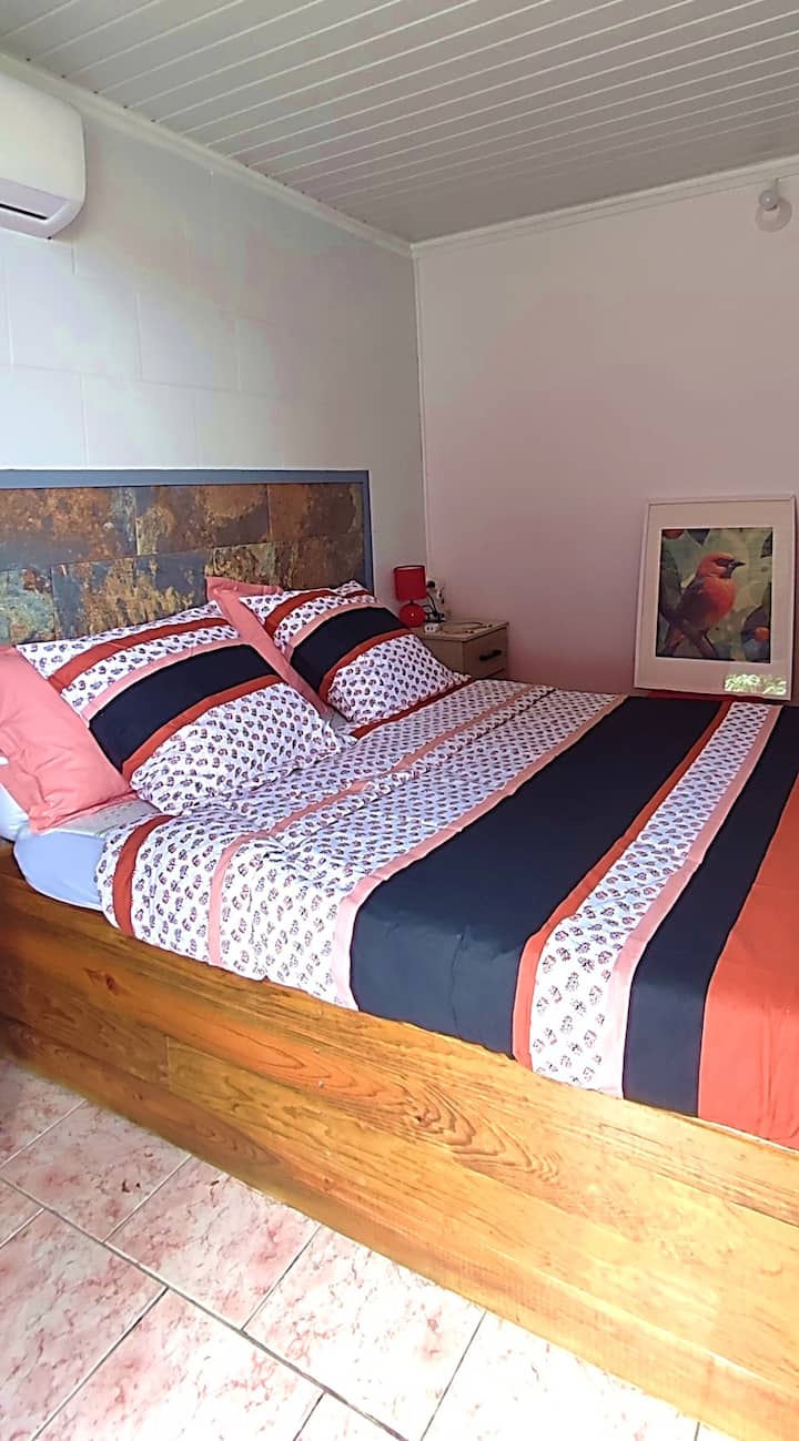 Appart : Cardinal Du Kannistel - Saint-Pierre