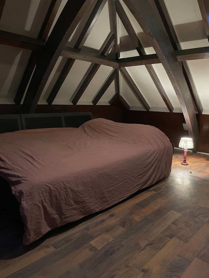 Windmill-street Urban Attic - Nijmegen