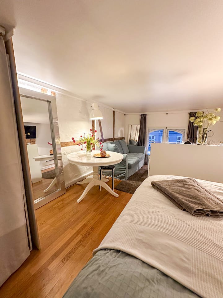 Hyggelig Lejlighed I København - Copenaghen