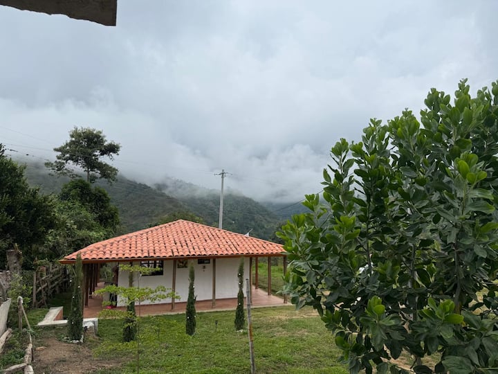 Clafé Natura Viva - Piedecuesta