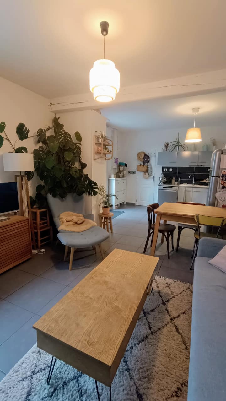 Charmante Petite Maison Centre De Tours - 