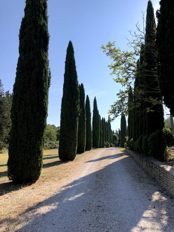 Mas Provençal Traditionnel - Pernes-les-Fontaines