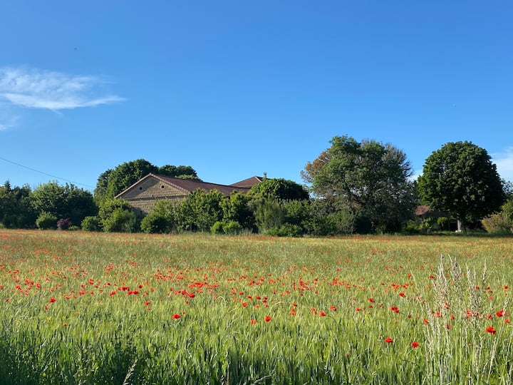 Gîte D'exception Viognier 8 Pers - Crest