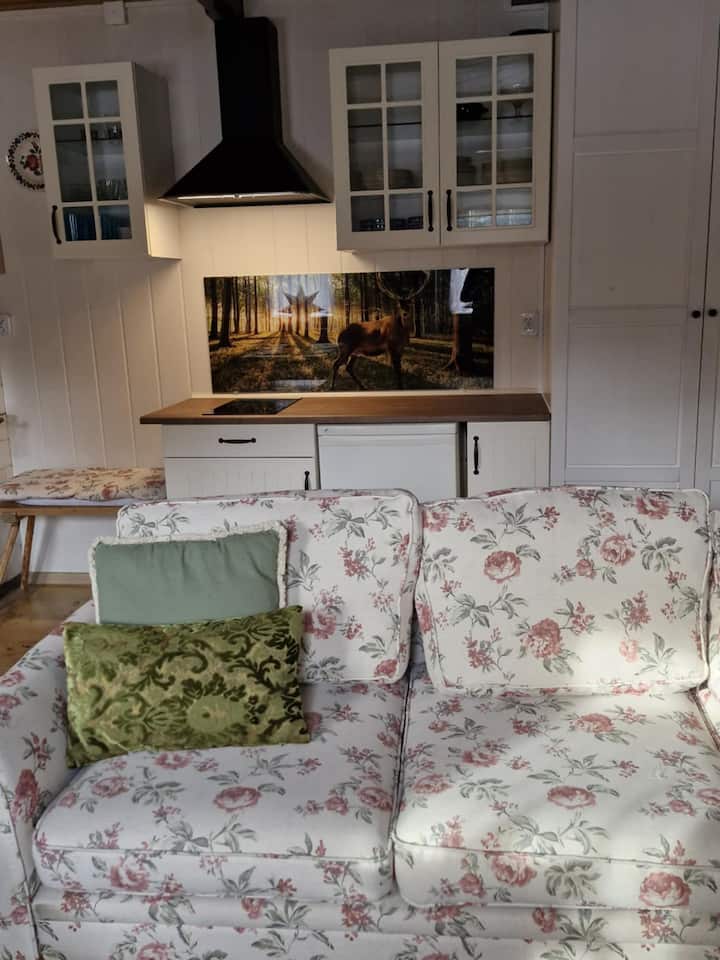 Sękowa Chata, Zakopane, Dom Z Drewna, Domek - Kościelisko