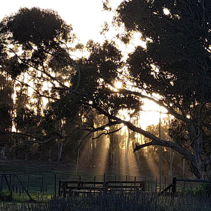 Lepelaar
Sleep 2 - Napier, South Africa