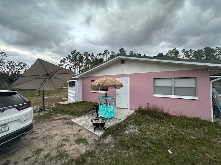 The Pinky House #2 - Zephyrhills, FL
