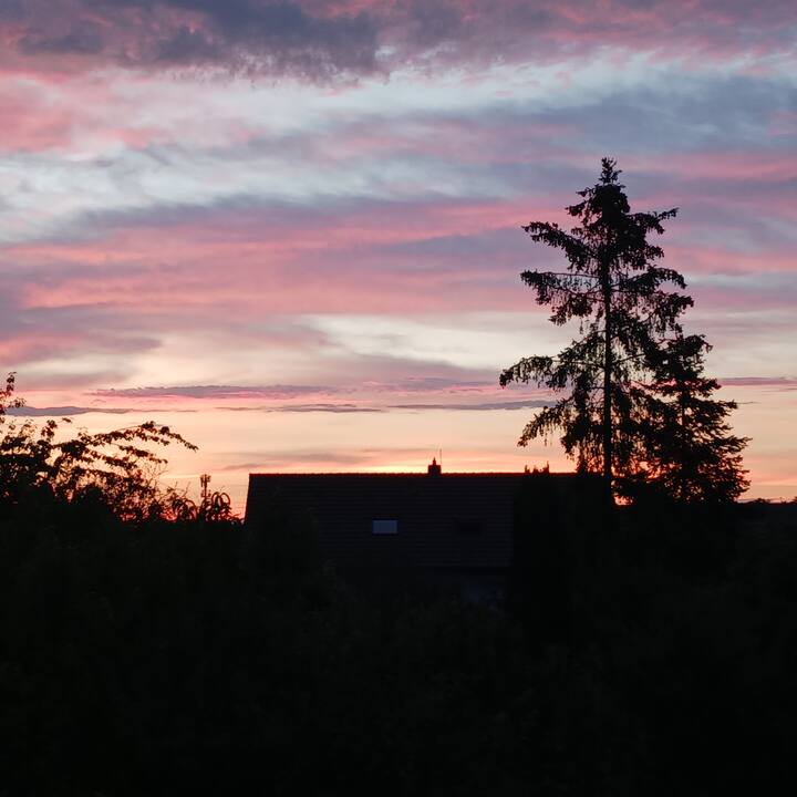 Natur Und Stadt - Würzburg