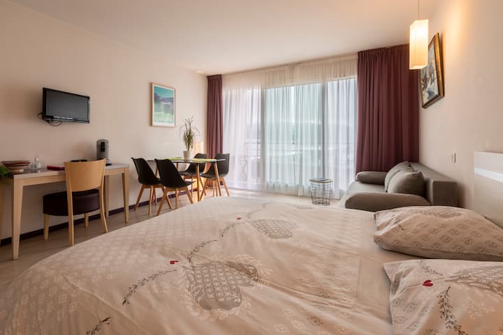 Family 4 Pers Gare Lourdes Wifi - Lourdes