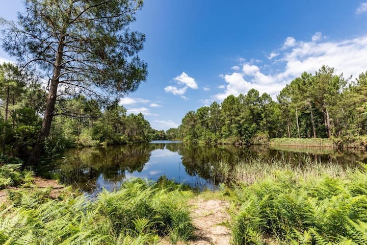 Maison Bois Lac Piscine Tennis  Marina De Talaris - Lacanau