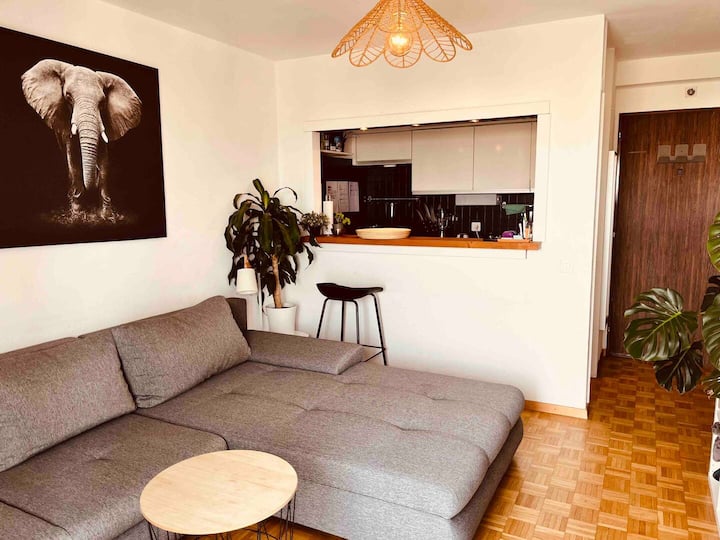 Apartamento Céntrico - Lausanne