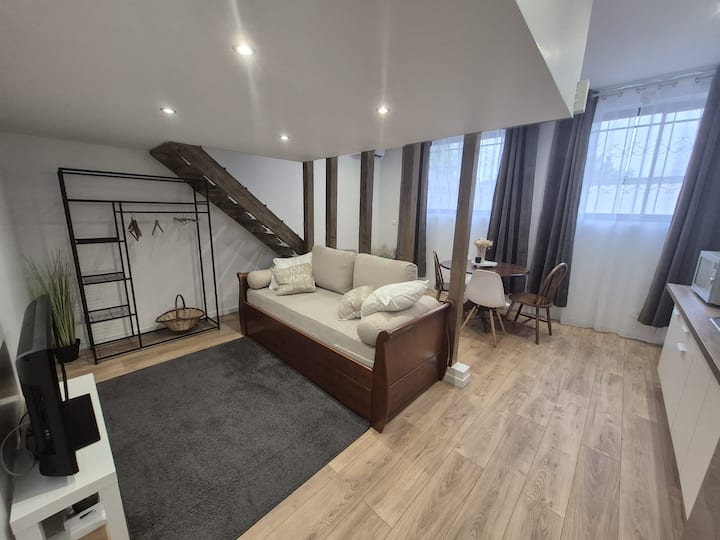 Havre De Paix Chaleureux Et Cosy - Champs-sur-Marne