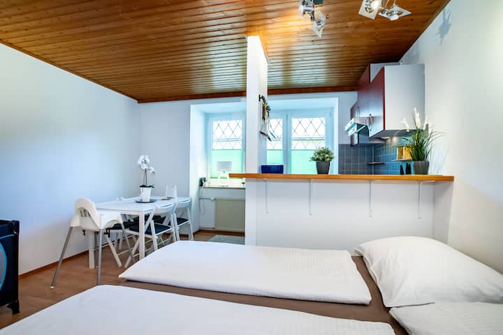 City Center Duplexapartment 17a+19 - Bad Goisern am Hallstättersee