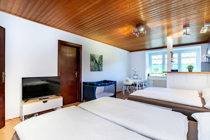 City Center Duplex Studioapartments 17b+19 - Altaussee