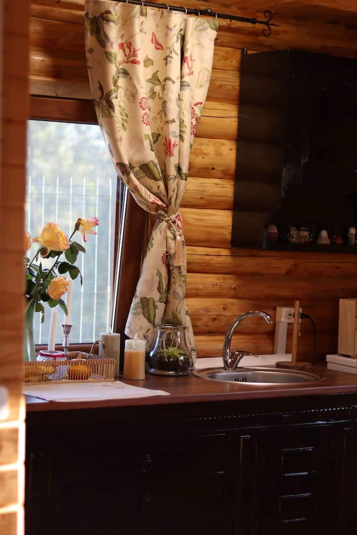 Cabănuță Rustică Vintage Din Lemn Lângă Râul Mureș - Iernut