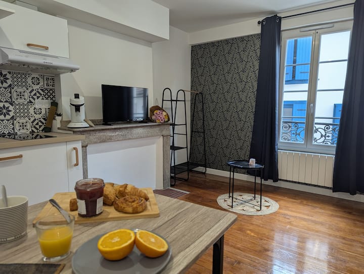 Charmant Studio Cœur De Foix - Foix