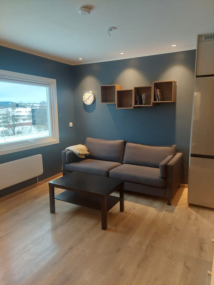 Trivelig Leilighet Leies Ut - Trondheim