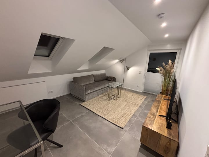 Exklusive Klimatisierte Wohnung - Dortmund