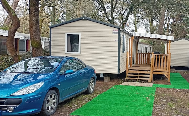 Repos, Tranquillité Dans La Forêt - Saint-Brevin-les-Pins