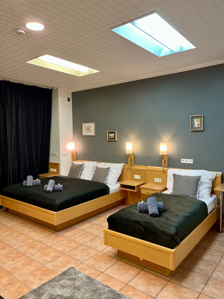 Spacious Apartment In Vienna Center - Vienna