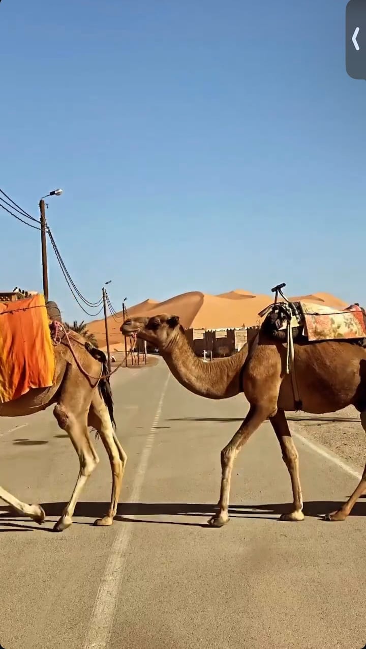 Tourist Camp,hotel Apartments - Merzouga