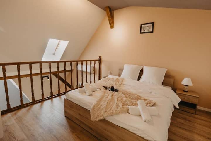 Apartament 31 Ultracentral îN Clădire Istorică - Timișoara