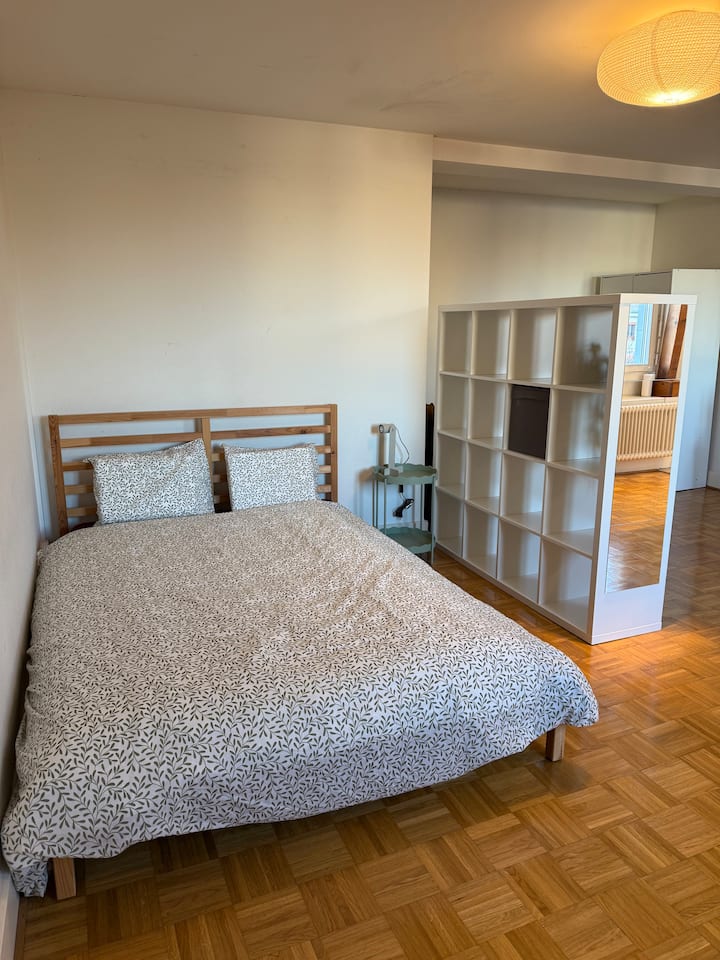 Cozy Studio In Central Geneva - Geneva