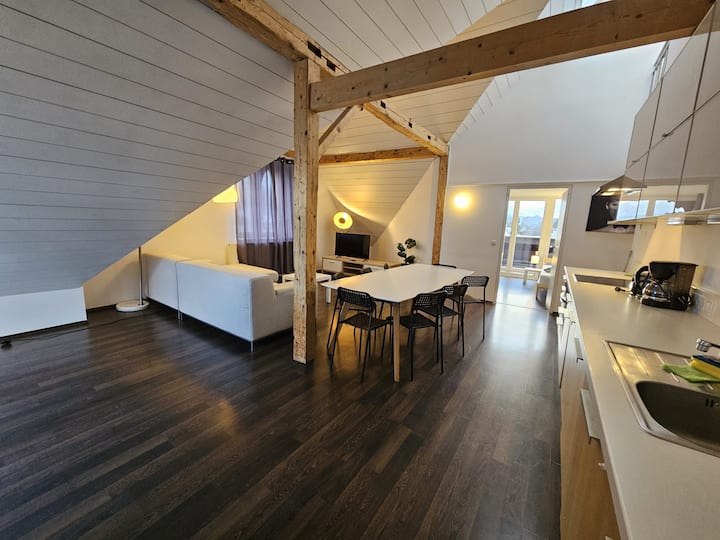 Innsbrucker Dachgeschosswohnung - Innsbruck