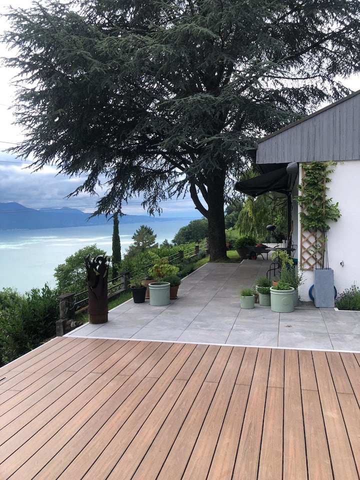 Exploring Lac Leman From Above - Montreux