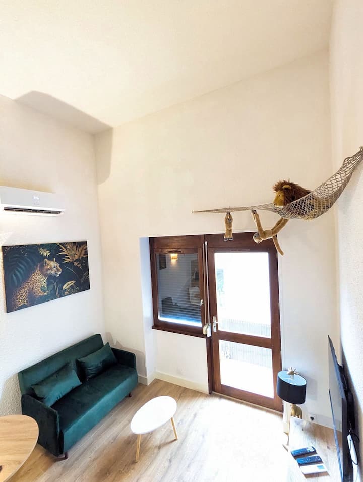 Studio Duplex Le Jungle - Bourgoin-Jallieu