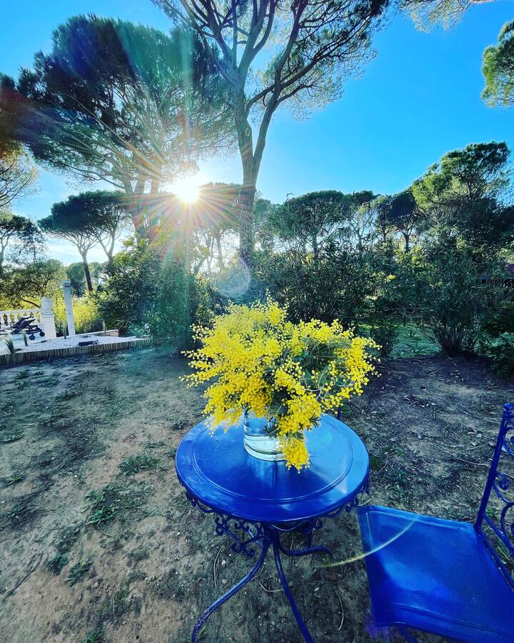 Suite Piscine. - Vidauban