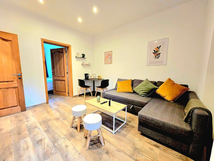 Comfy Stockholm Inspired 1br Renovated Apt - Grimbergen