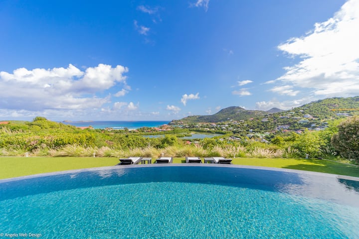 Ivy - Saint-Barthélemy