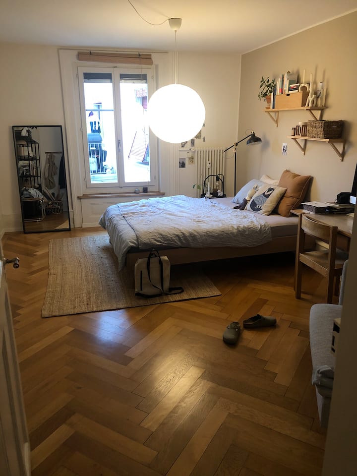 Wunderschöne Altbauwohnung - Bern