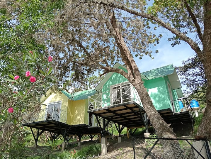 Palo Alto
Entre Arboles - Soatá