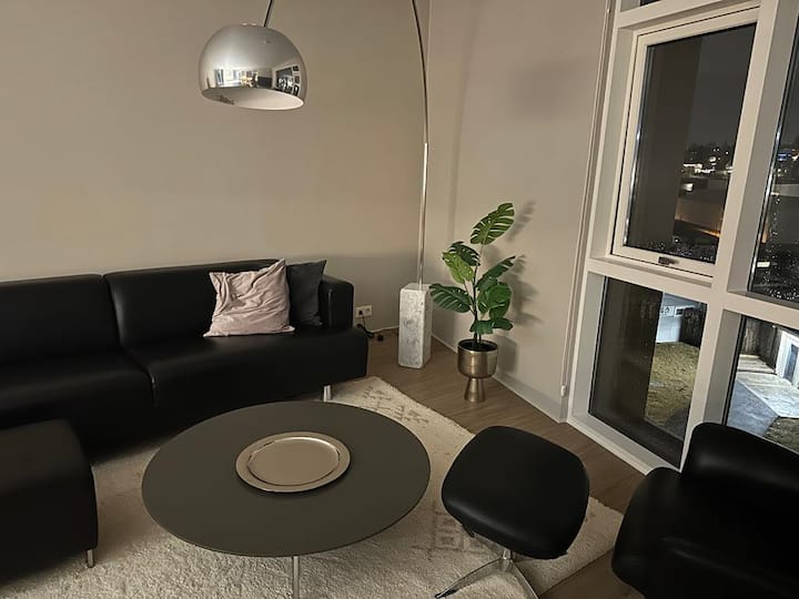 Luxury Apartment - Reykjavík