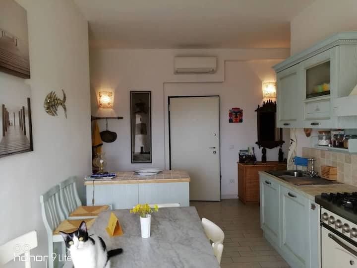 Il Nido Dello Sparviero - Follonica