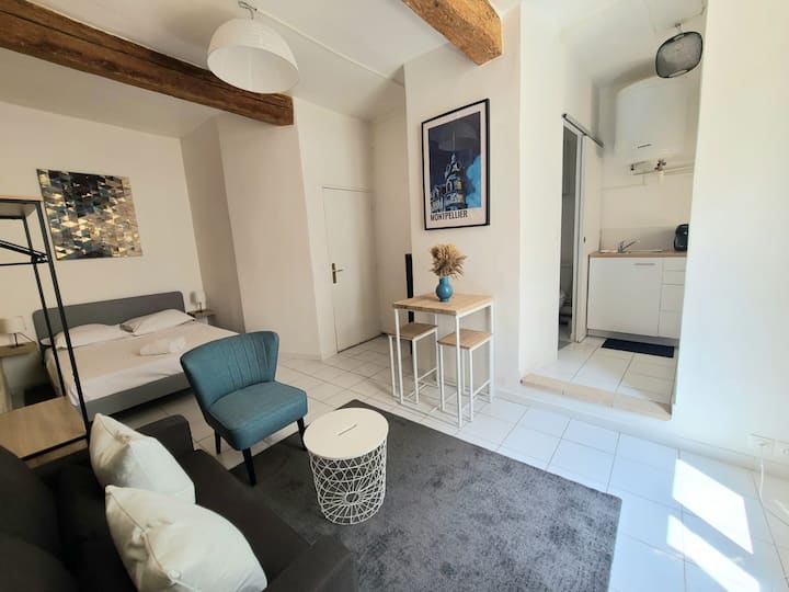 Appartement Cosy Et Calme - Centre Historique - Montpellier